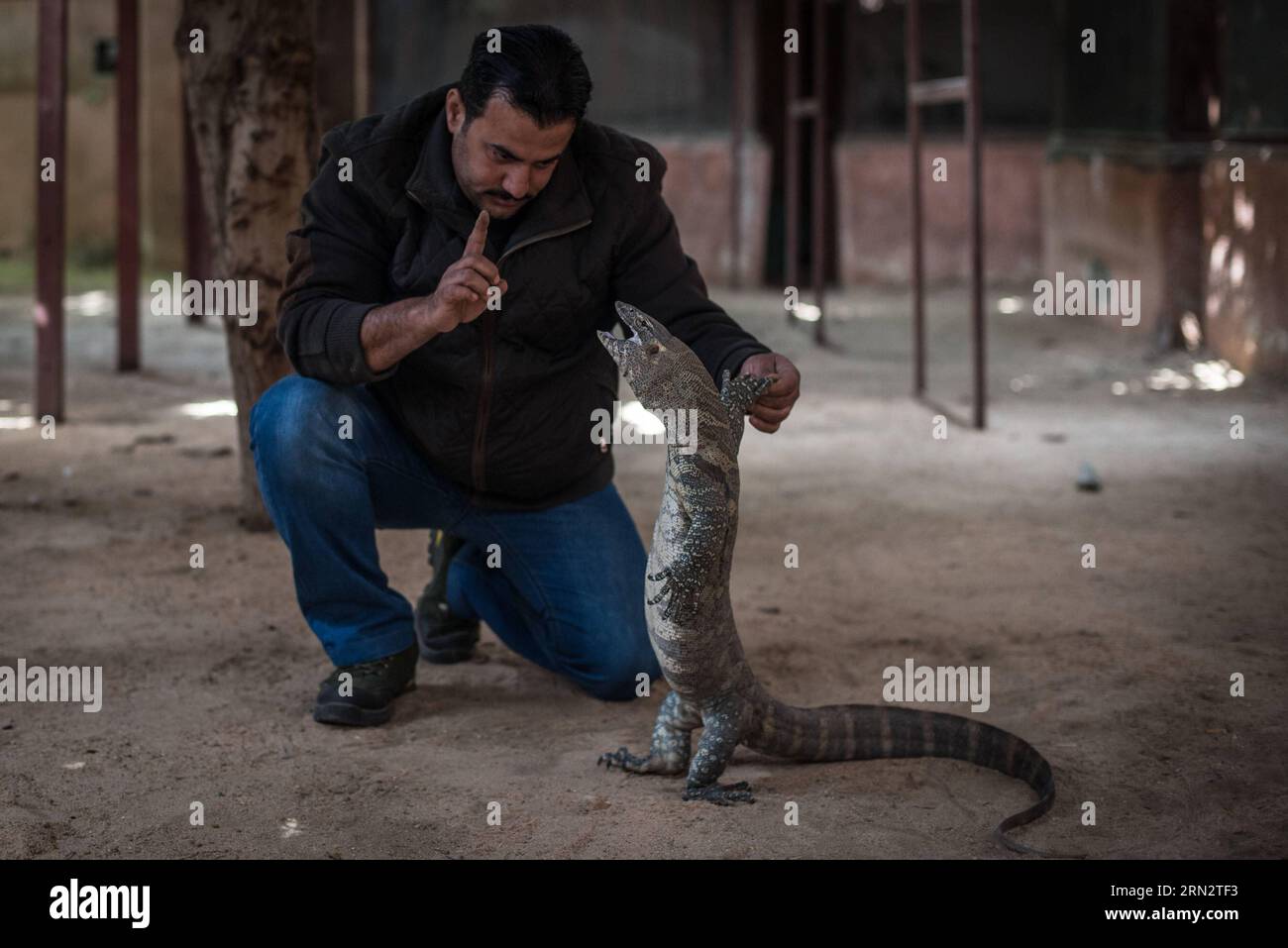 Animal dealer hi-res stock photography and images - Alamy