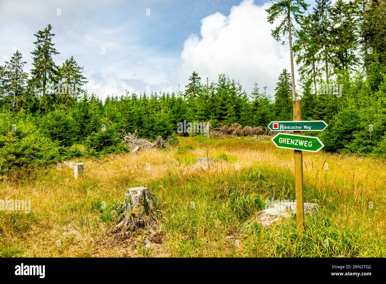 Summer walk on the high trail of the Thuringian Forest - Thuringia ...