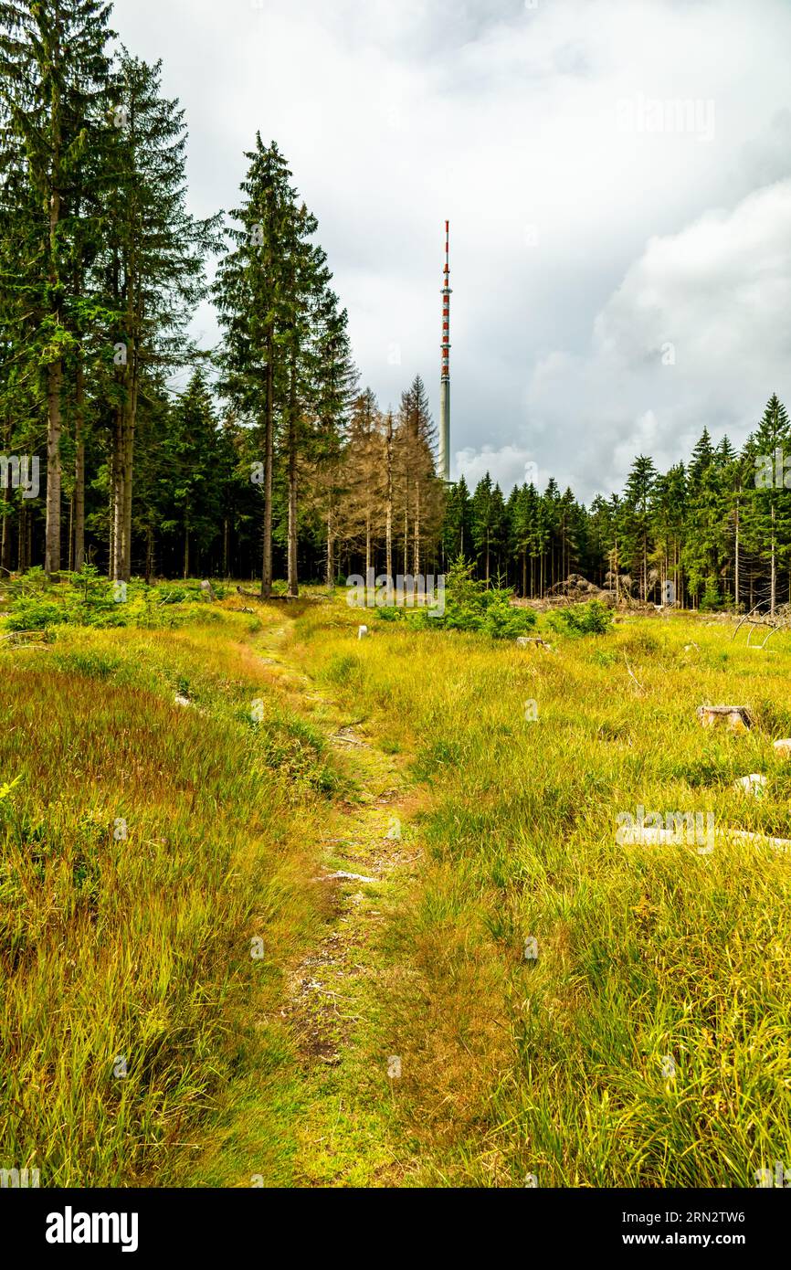 Summer walk on the high trail of the Thuringian Forest - Thuringia ...