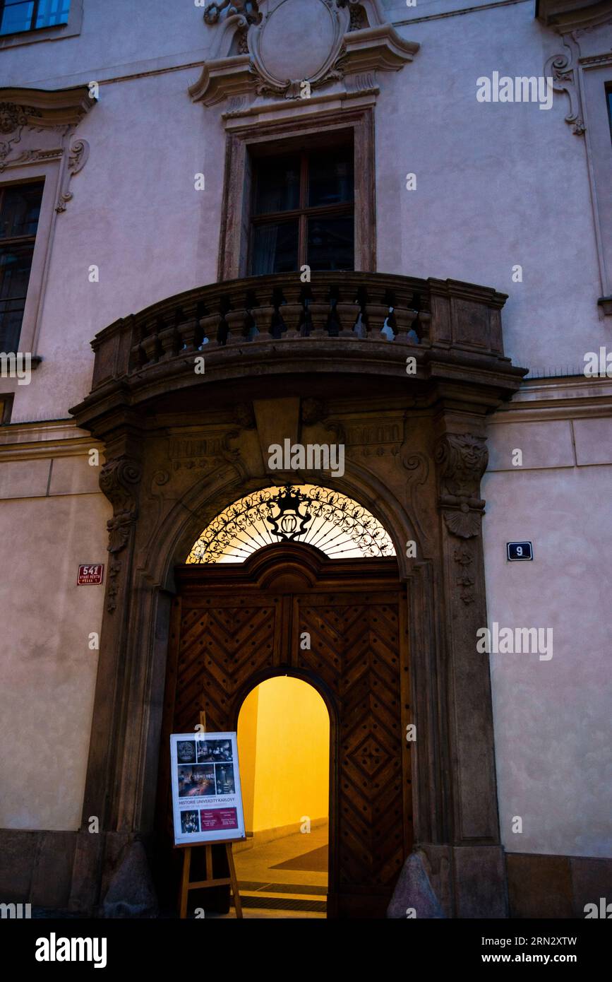 Chevron pattern wood door with an arched opening and cast iron tympanum ...
