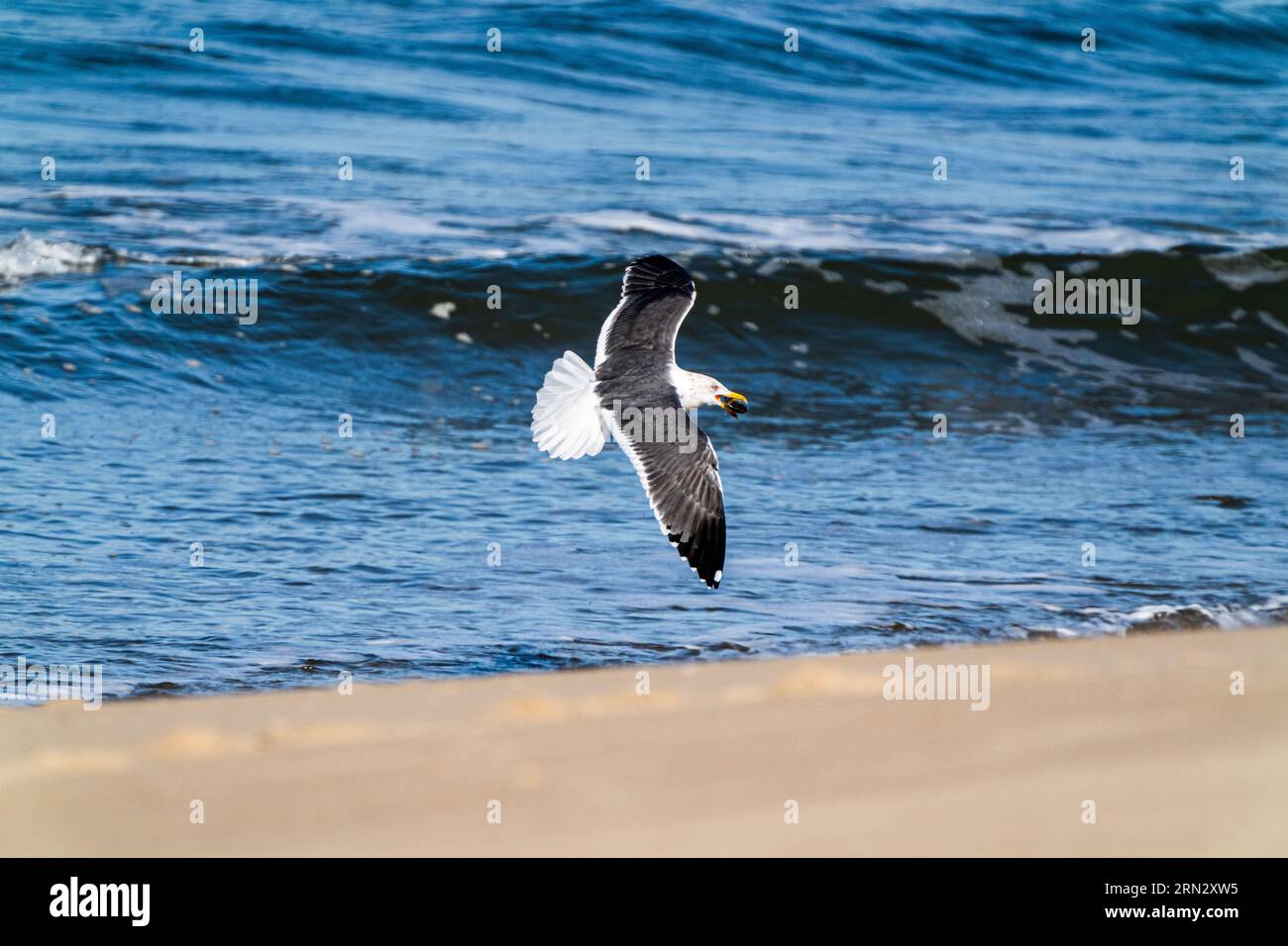Open nozzle hi-res stock photography and images - Alamy