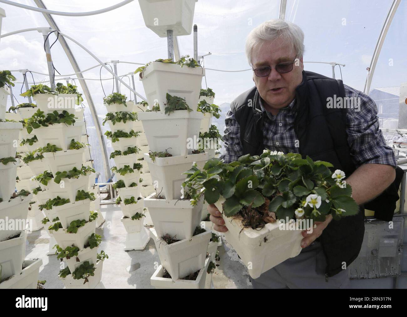 Technology specialist Tom Colclough checks on the crops inside Canada s ...