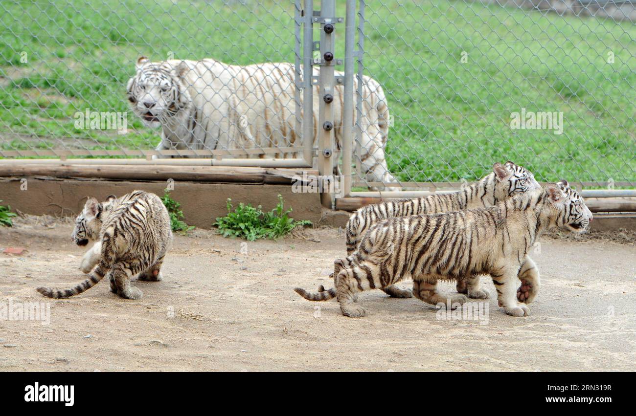 (150402) -- XI AN, April 2, 2015 -- Photo taken on April 2, 2015 shows ...