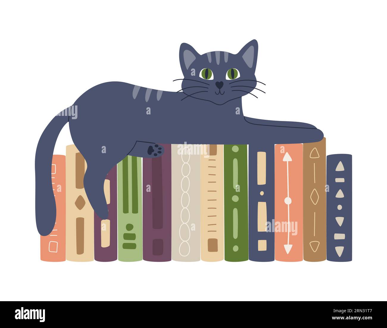 Hardcover books with different patterns stand in a row. Cute cat lying ...