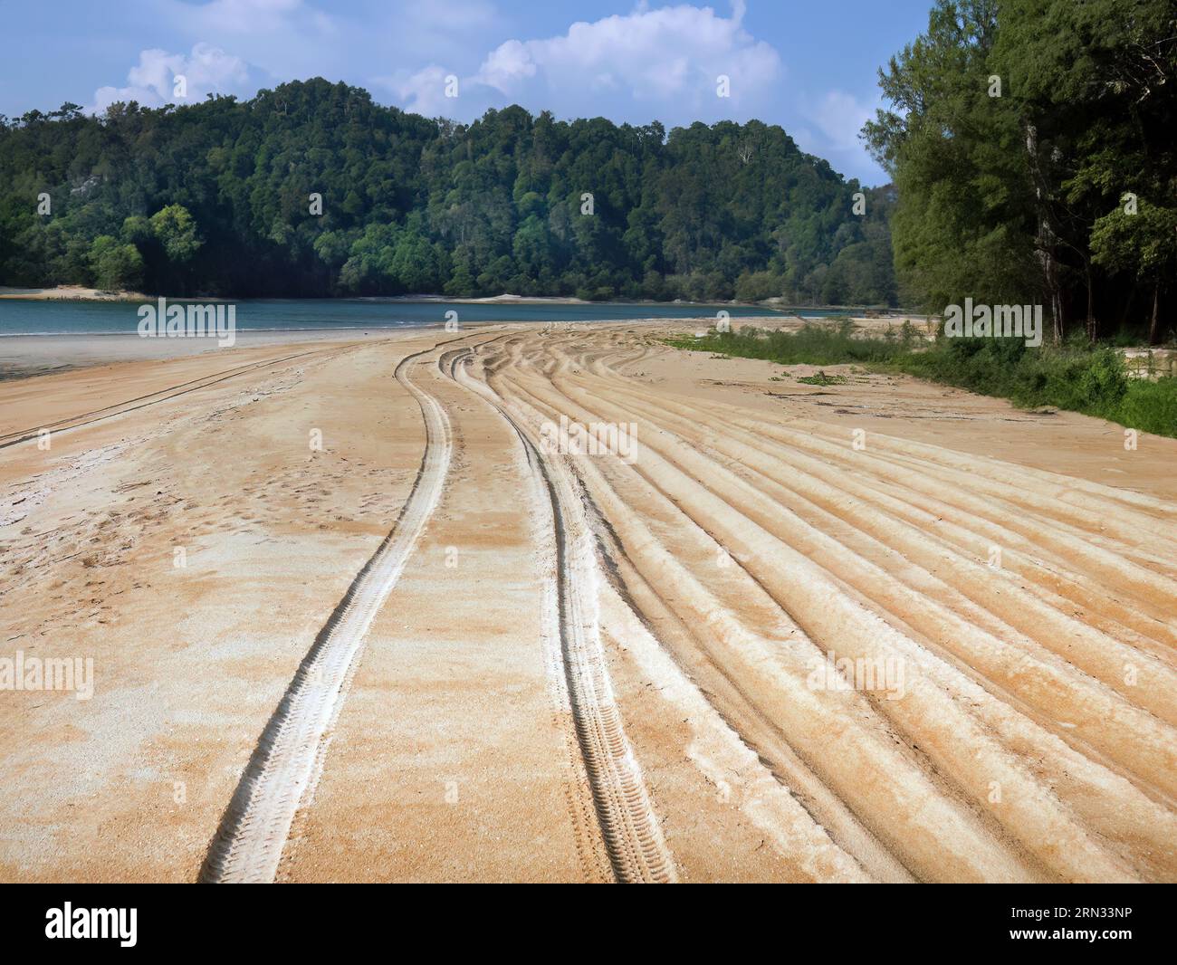 Perspective of 4x4 vehicle Tire tracks was seen on the golden sand ...
