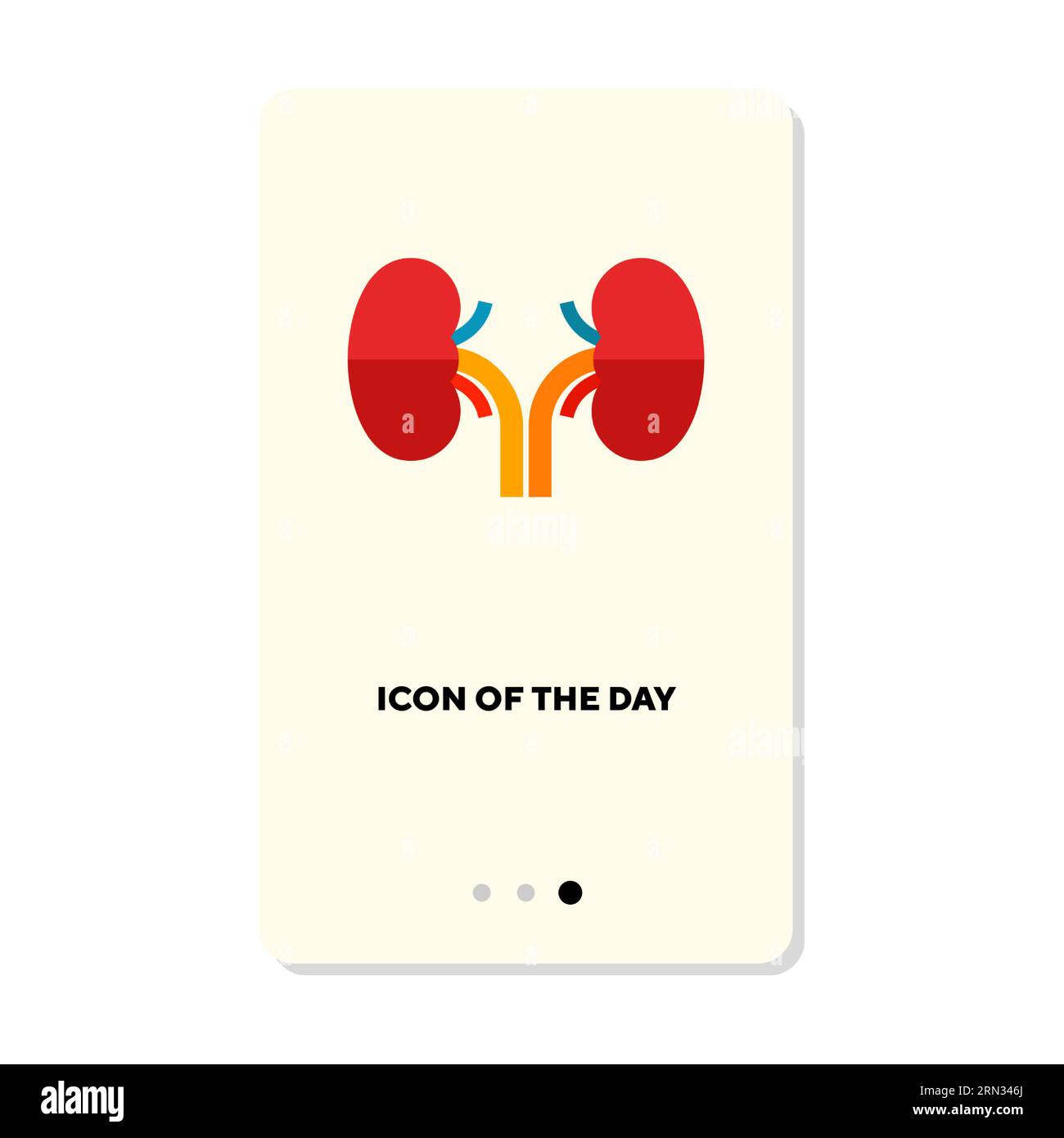 Pair of kidneys hi-res stock photography and images - Alamy