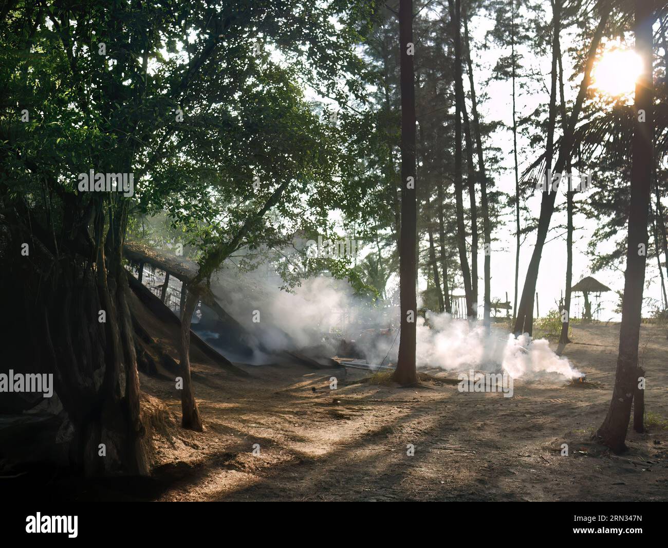 Smoke from an extinguished bonfire in the forest near sand beach ...