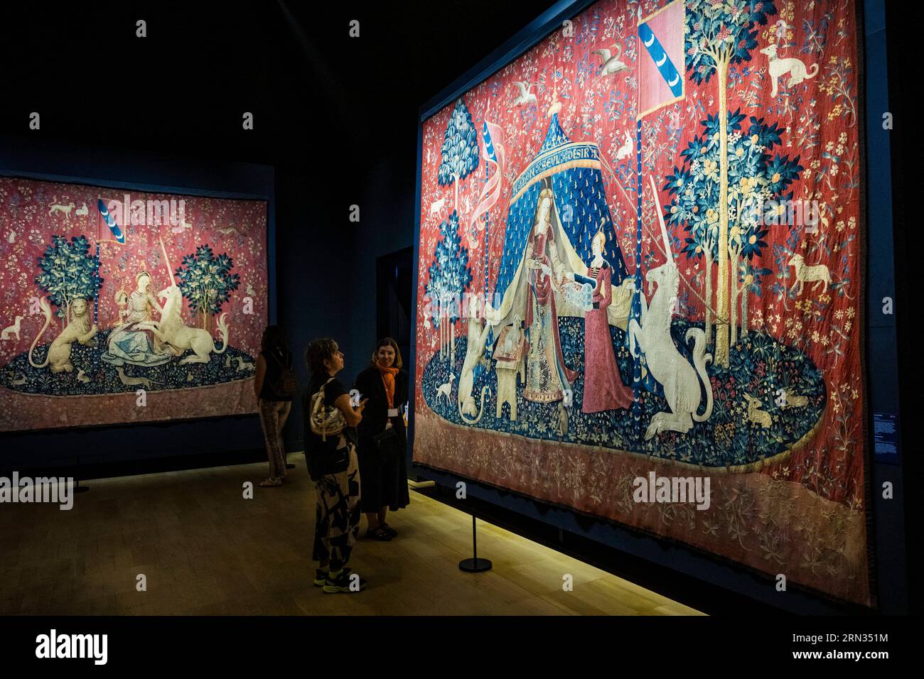 France, Paris, Musée de Cluny - Musée national du Moyen-Age (Middle ...