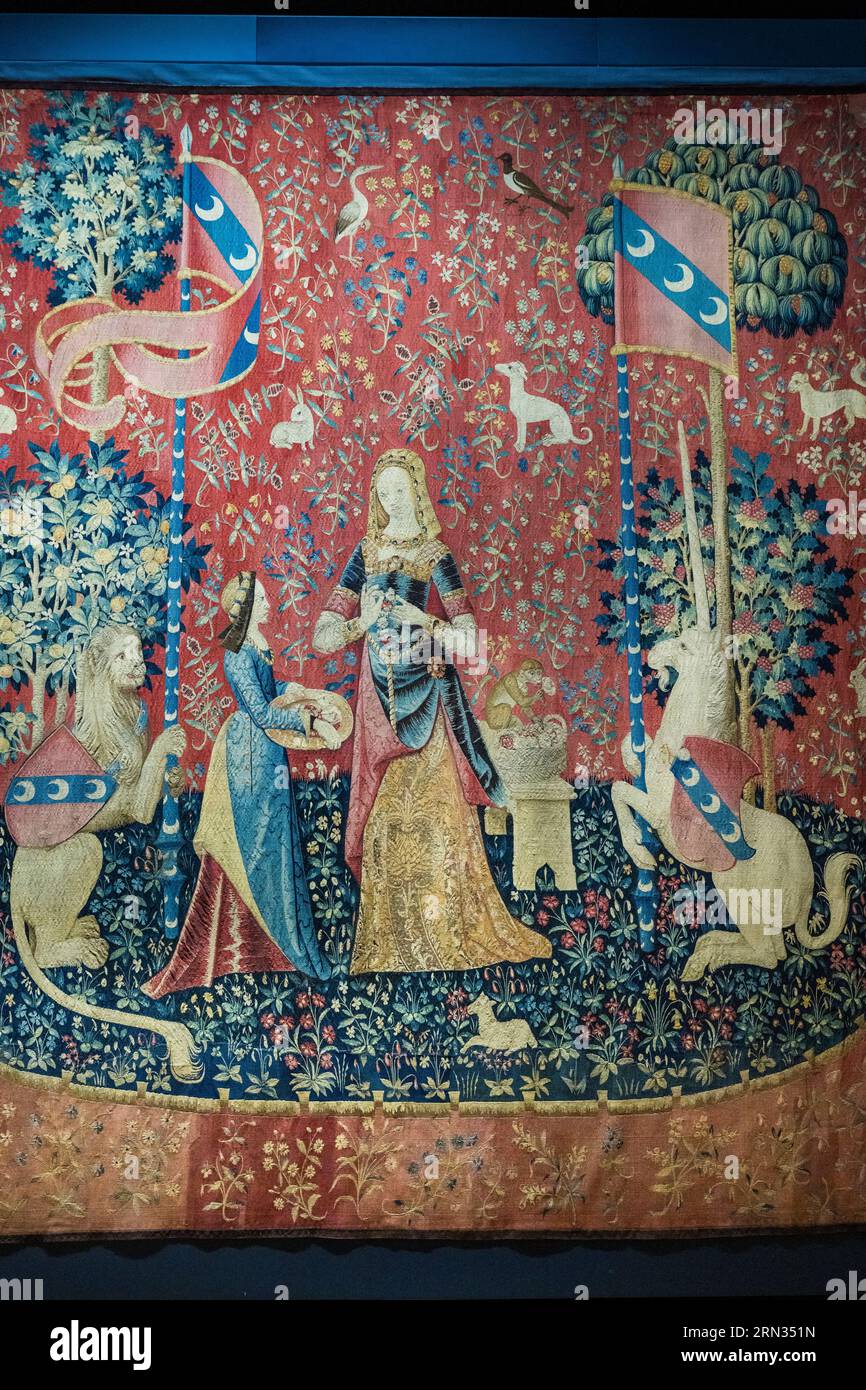 France, Paris, Musée de Cluny - Musée national du Moyen-Age (Middle ...