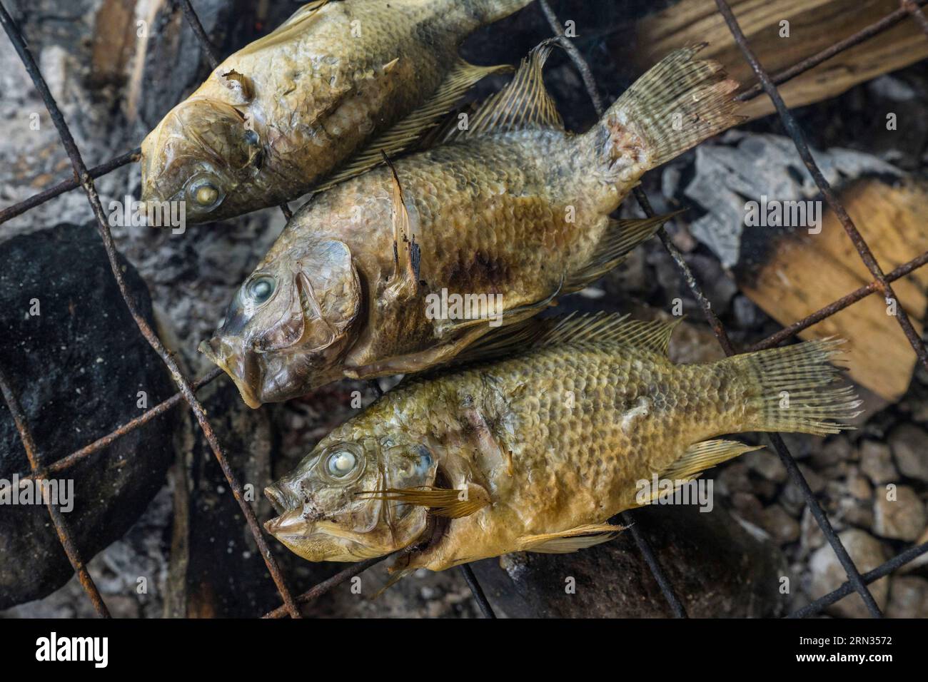School papua new guinea village hi-res stock photography and images - Alamy