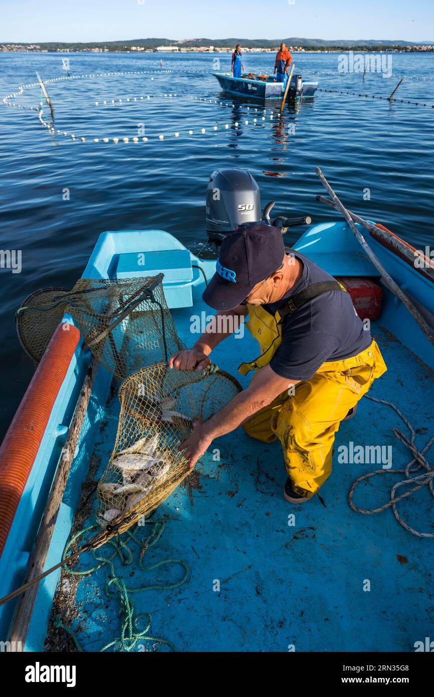 France, Herault, Sete, la Pointe Courte district, the fisherman Robert ...