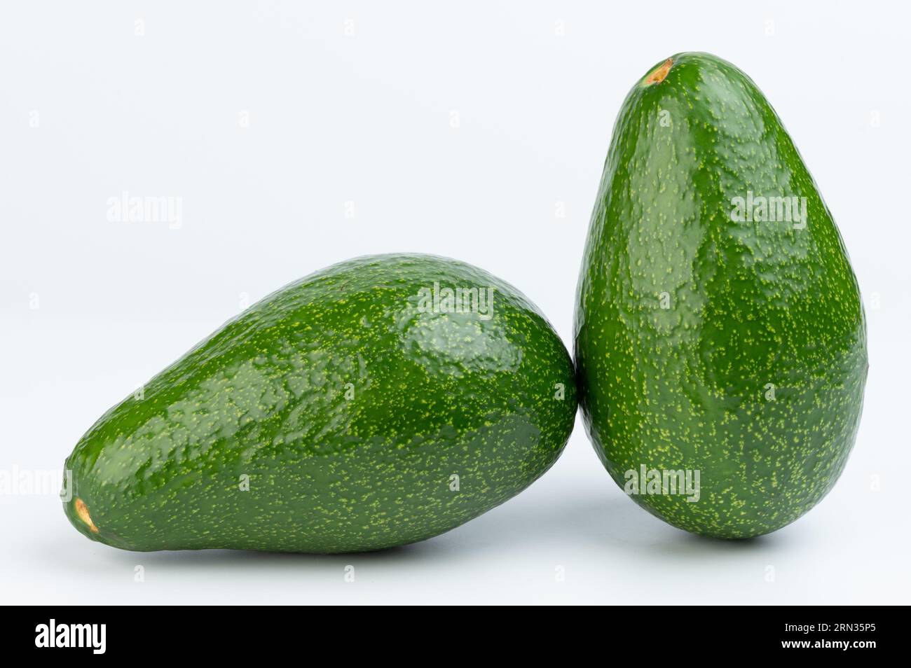 Two real green avocado fruits isolated on white studio background Stock ...