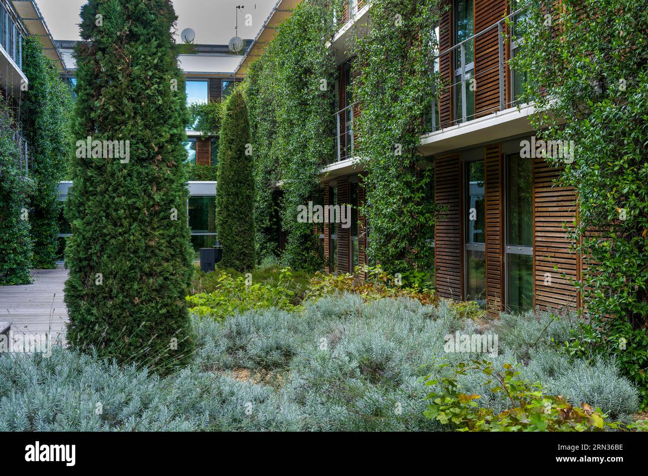 France, Herault, Montpellier, Port Marianne district, Hotel Courtyard ...