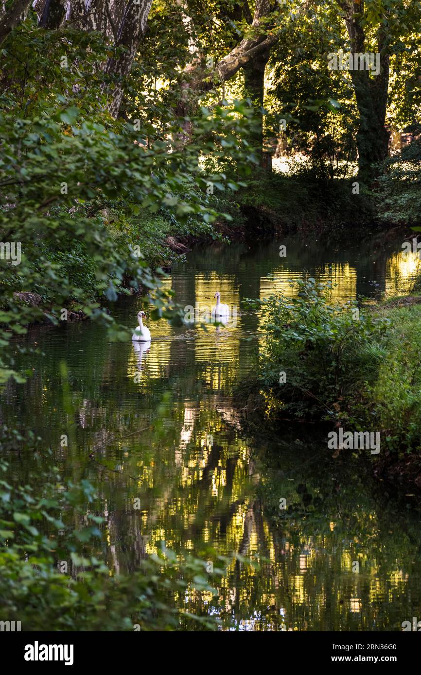 Eure valley river uzes gard hi-res stock photography and images - Alamy