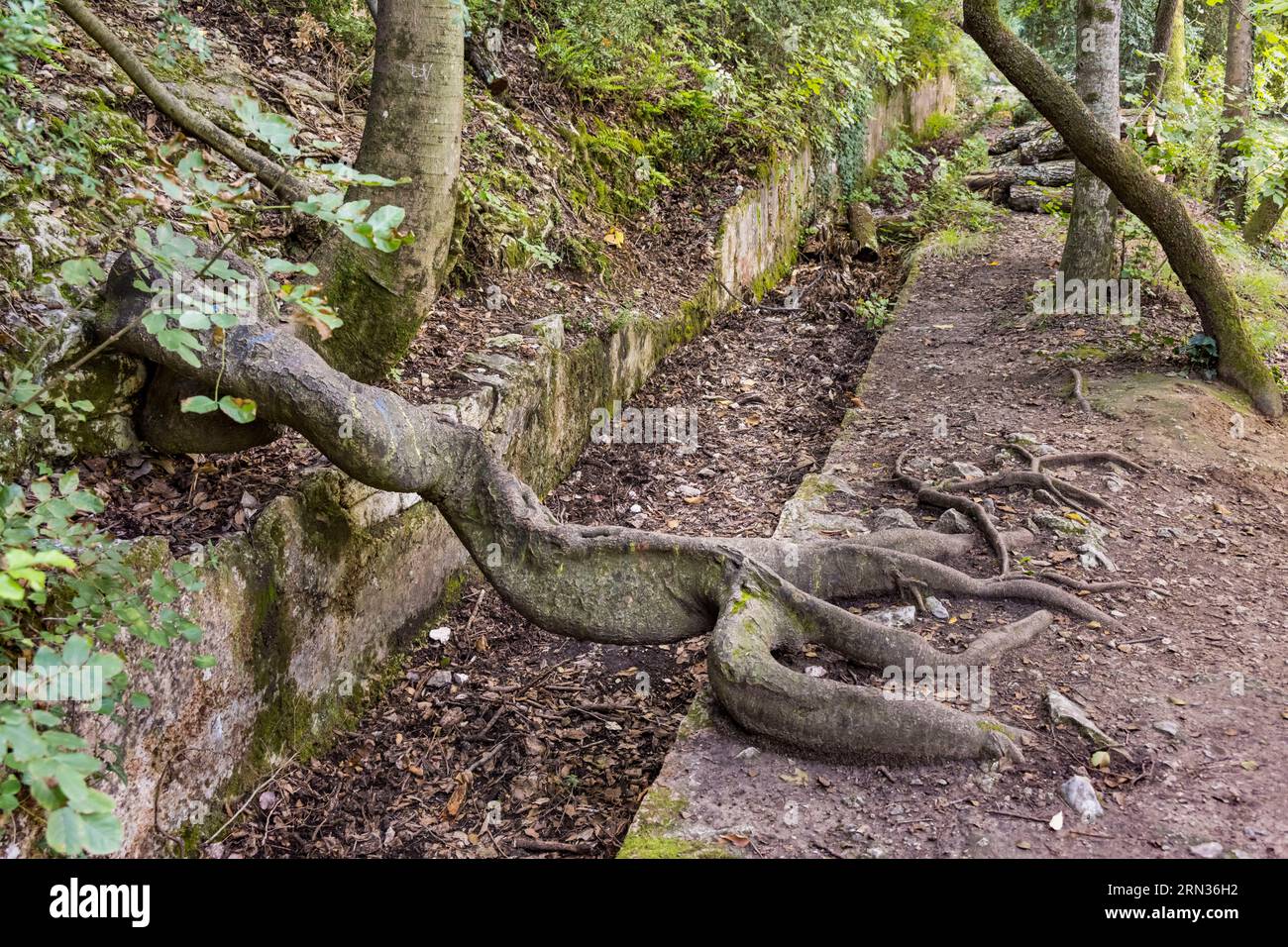 France, Gard, Uzès, Eure valley, remains of the Roman aqueduct over 52 ...