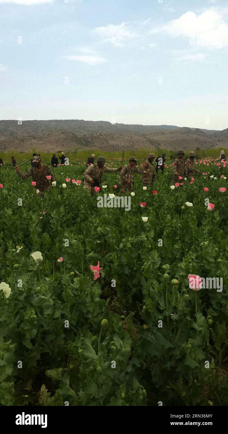 Poppy field pakistan hi-res stock photography and images - Alamy