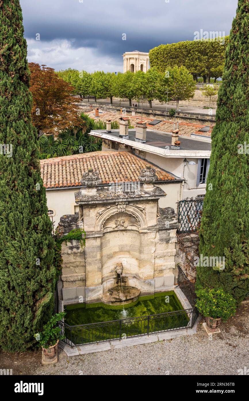 France, Herault, Montpellier, historic center called the Ecusson, The ...