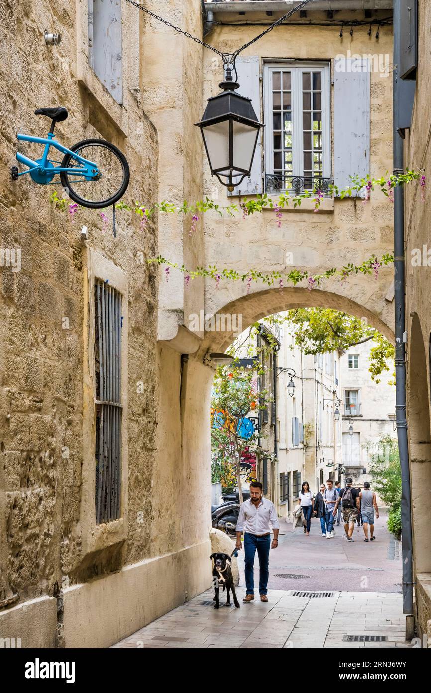 Types of bikes hi-res stock photography and images - Alamy