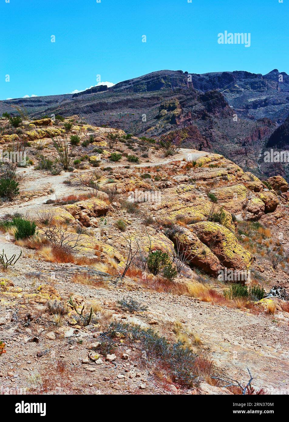 Film Image Along the Apache trail Sonora desert Arizona mountains and ...