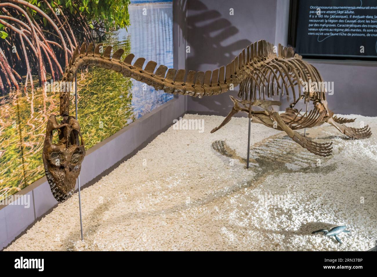 France, Aveyron, Millau, Millau and Grands Causses museum housed in the ...