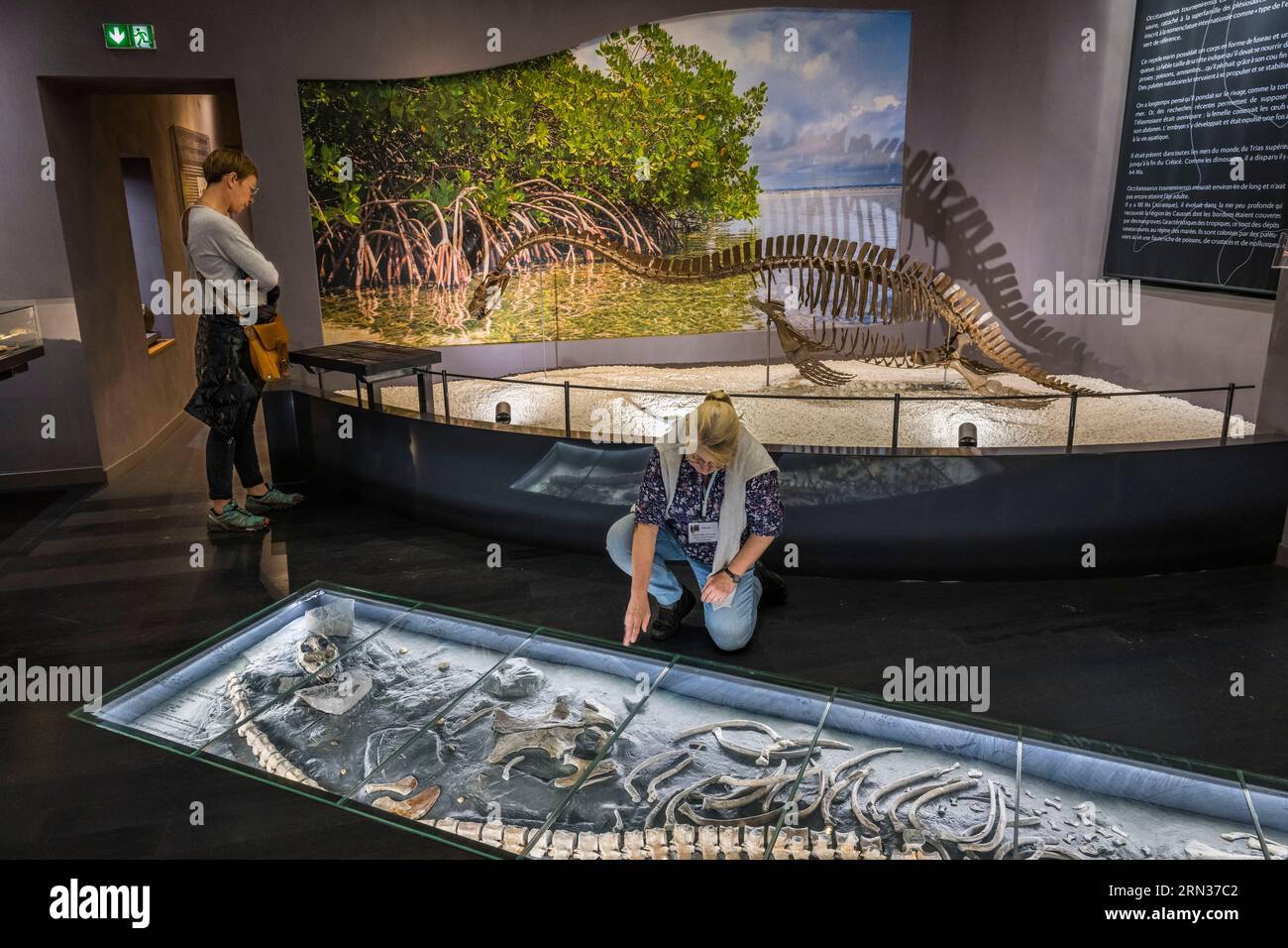 Fossil hotel hi-res stock photography and images - Alamy