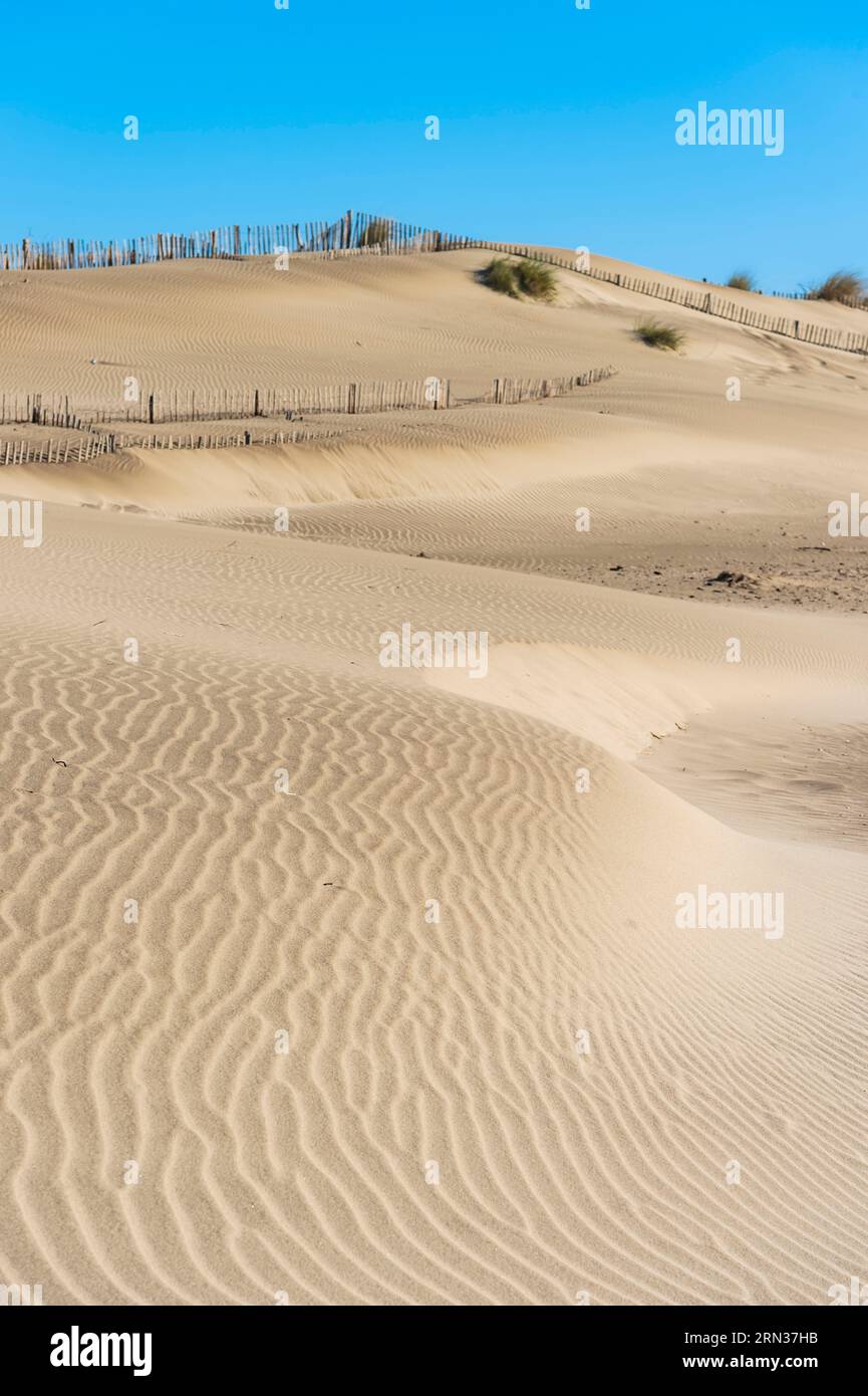 France, Gard, Camargue dune massif of the Pointe de l'Espiguette by the ...