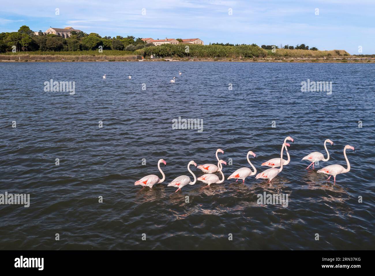 France, Hérault (34), Villeneuve-lès-Maguelone (Palavas-Les-Flots ...