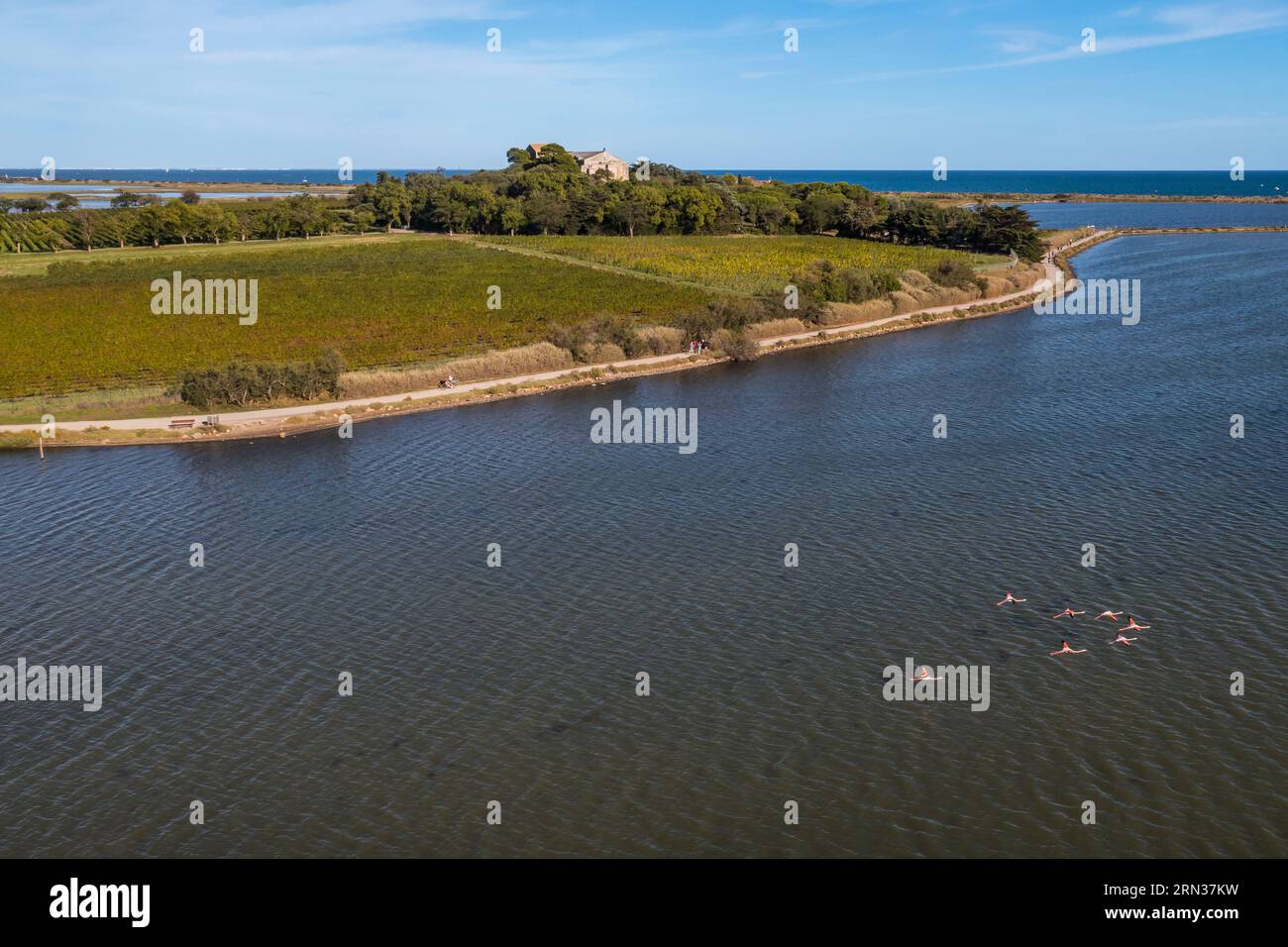 Lile blanche hi-res stock photography and images - Alamy