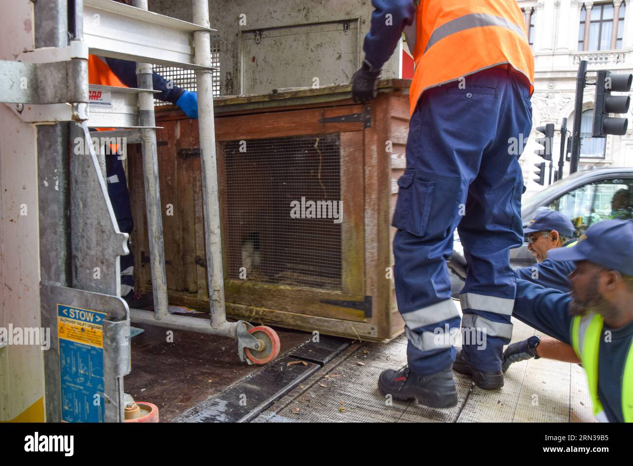 Chicken protest opposite downing street hi-res stock photography and ...