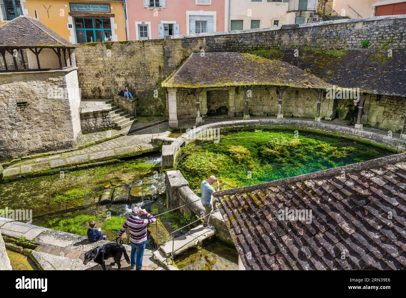 France, Yonne, Tonnerre, washhouse of the Fosse Dionne, circular basin ...
