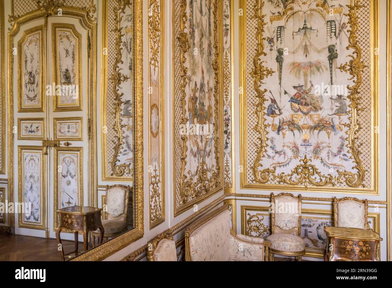 Grande singerie hi-res stock photography and images - Alamy