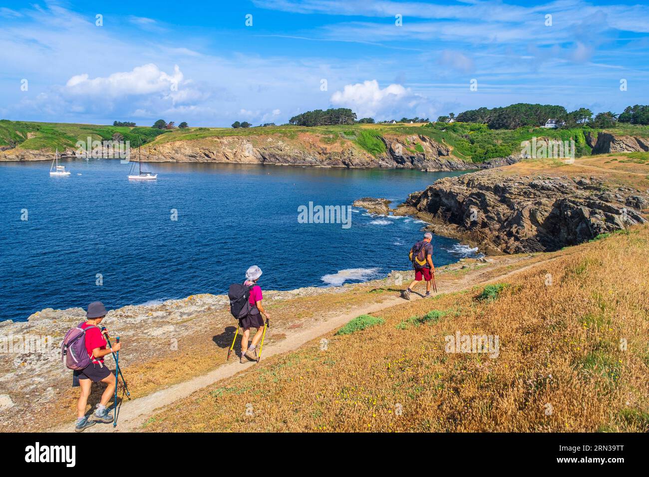 France, Morbihan, Belle-Ile-en-Mer, the wild coast, Bangor, hiking on ...
