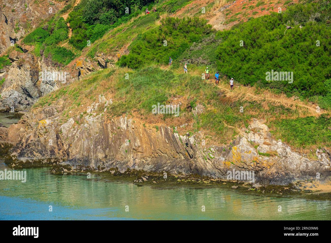 France, Morbihan, Belle-Ile-en-Mer, the wild coast, Bangor, hiking on ...