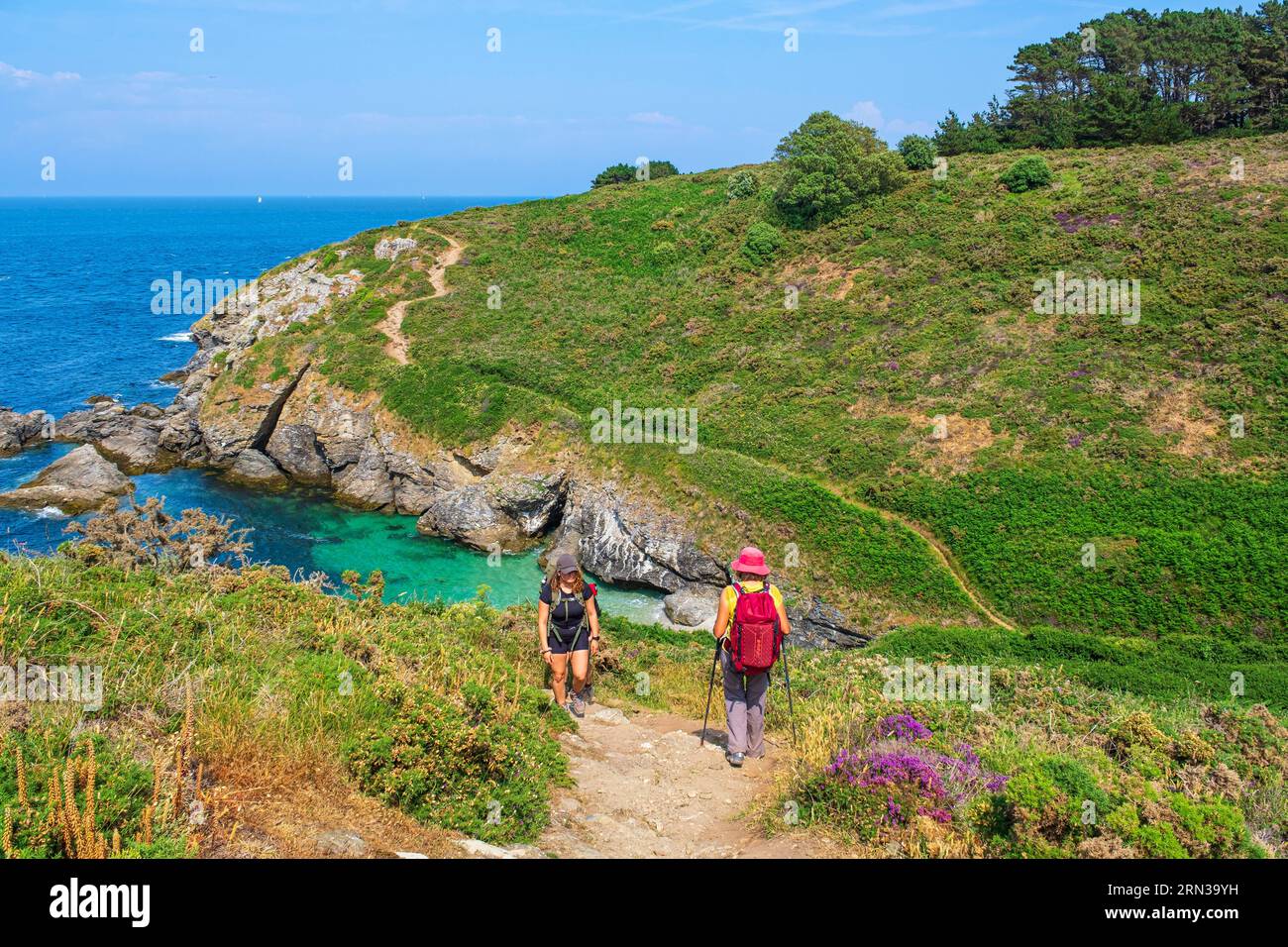 France, Morbihan, Belle Ile en Mer, Sauzon, hiking on the GR® 340-Tour ...