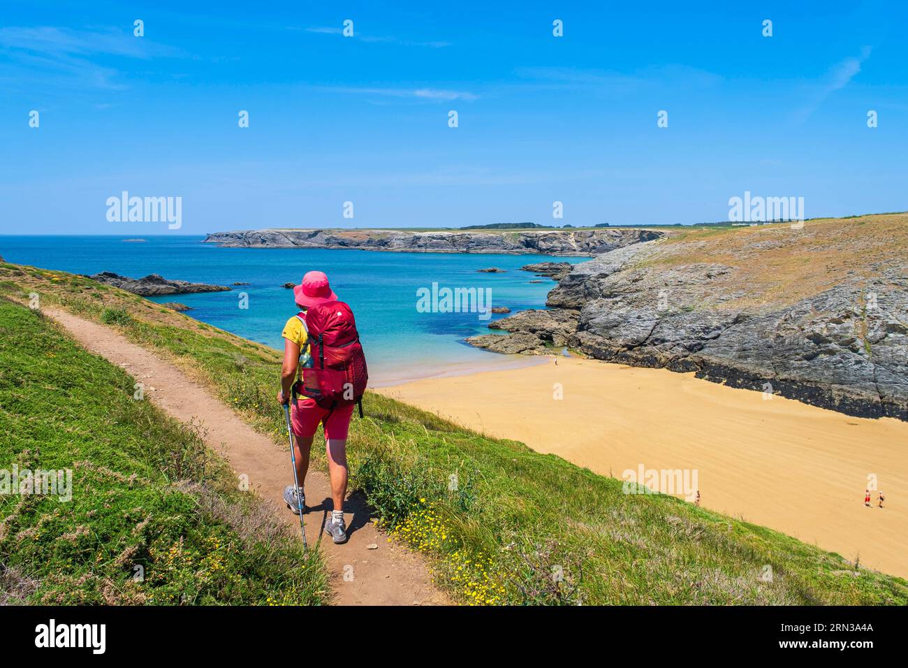 France, Morbihan, Belle Ile en Mer, the wild coast, Bangor, hiking on ...