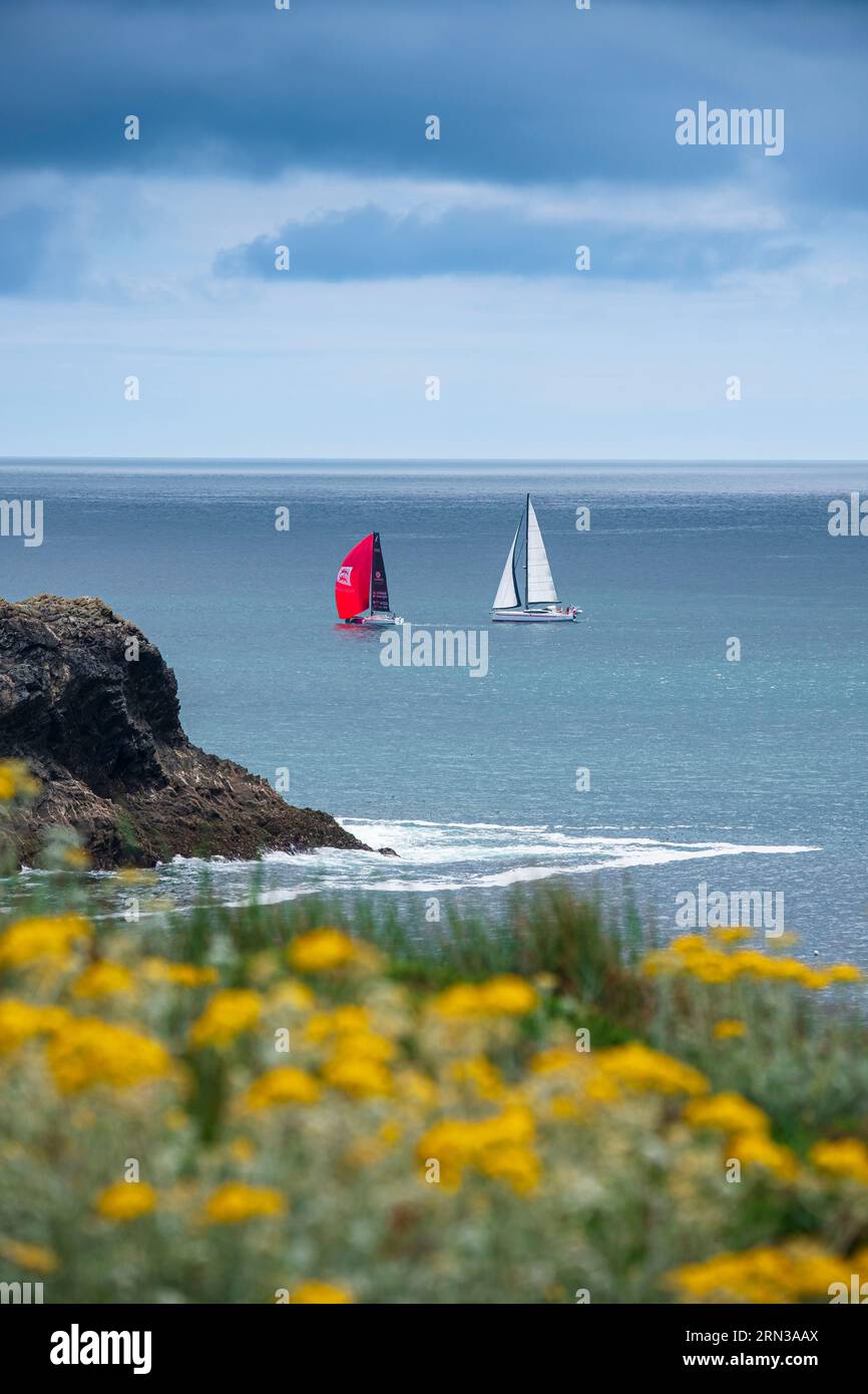 France, Morbihan, Belle Ile en Mer, Bangor, the wild coast along the GR ...