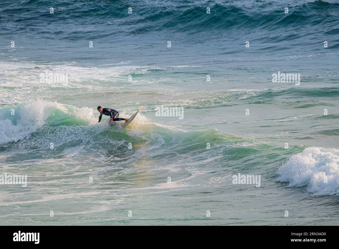 France, Morbihan, Belle Ile en Mer, the wild coast, Sauzon, surfing at ...