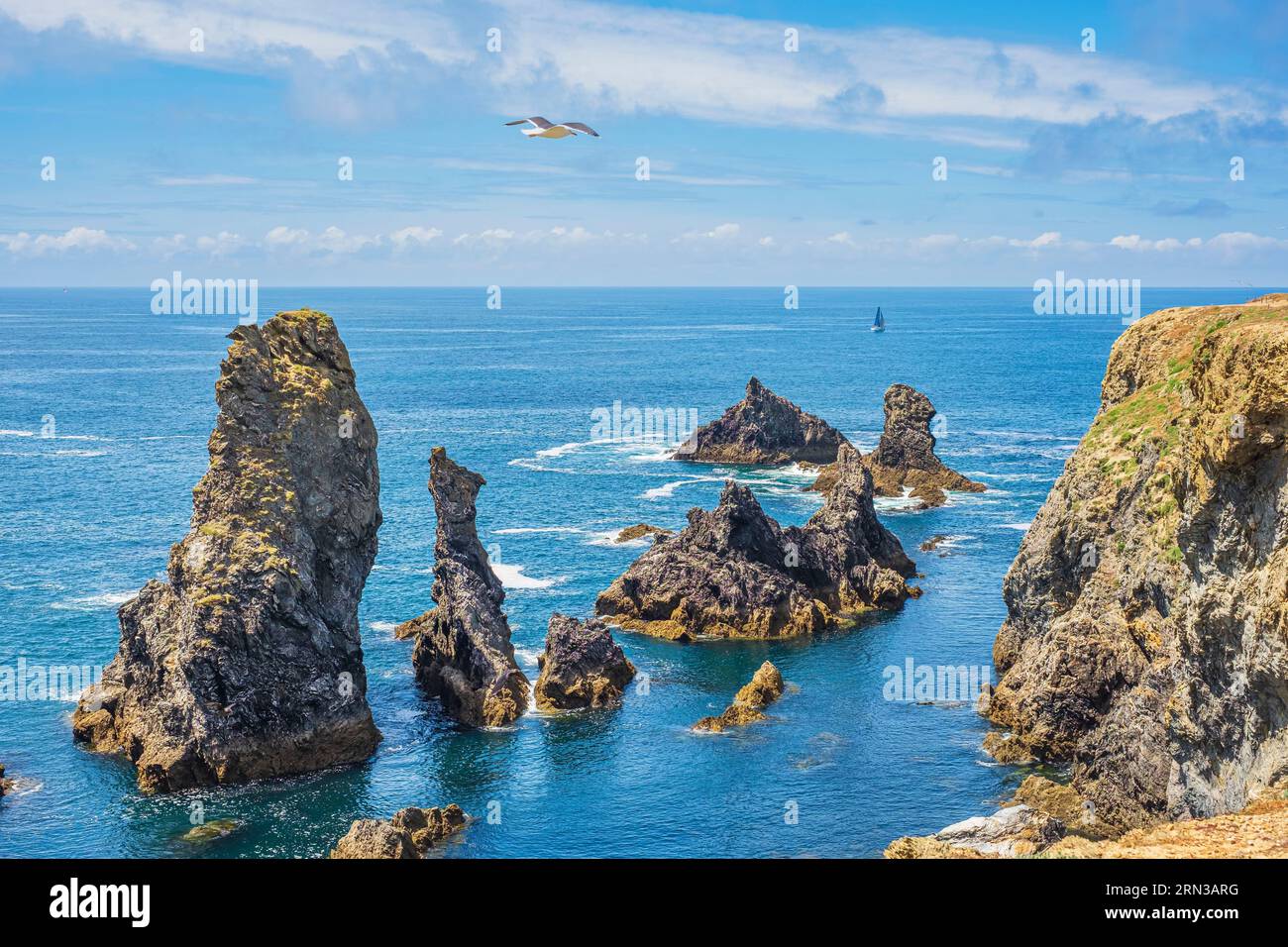 France, Morbihan, Belle Ile en Mer, the wild coast, Bangor, Port Coton ...
