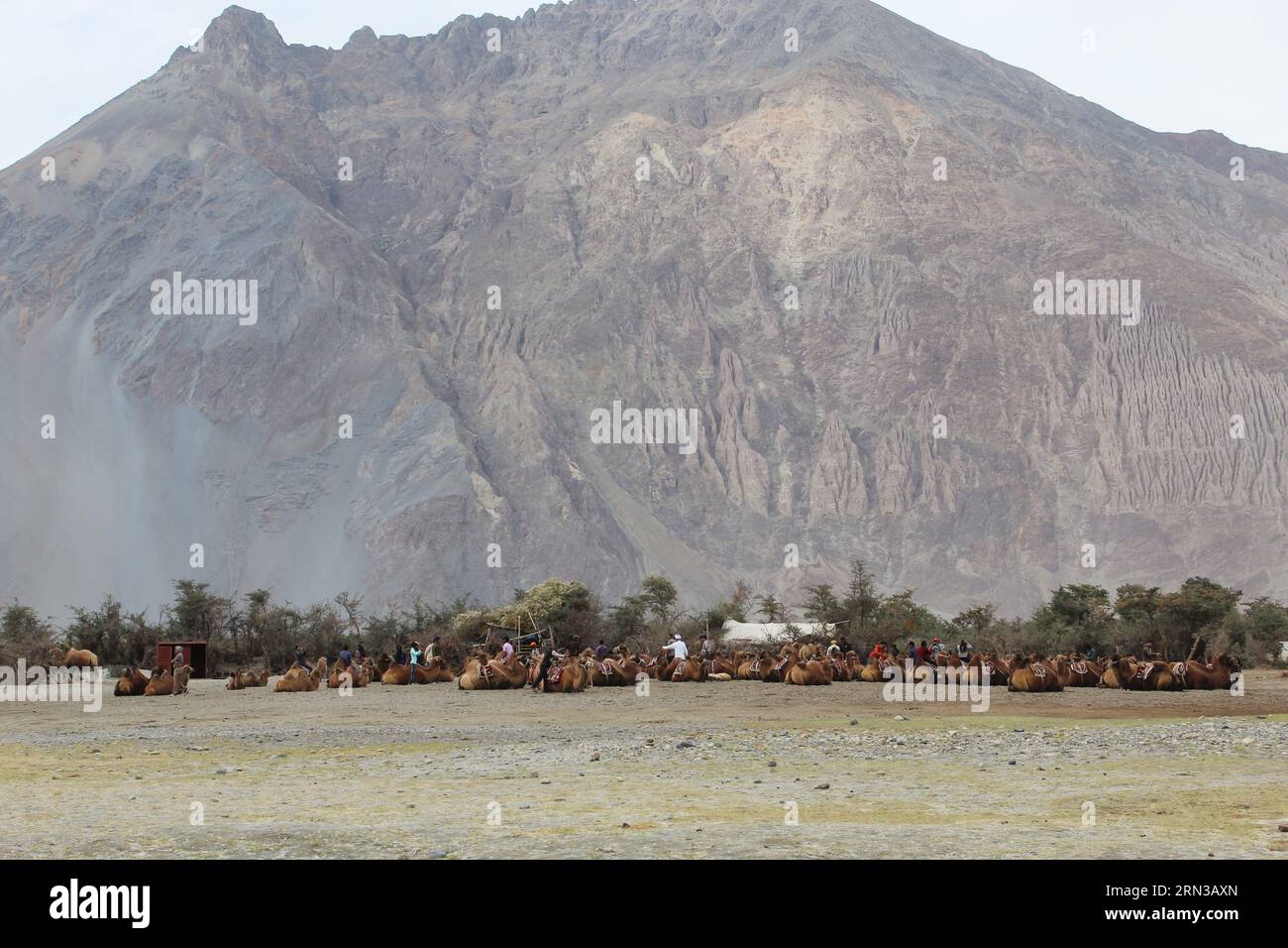 Breathtaking wilderness with mountainous terrain and harmonious group ...