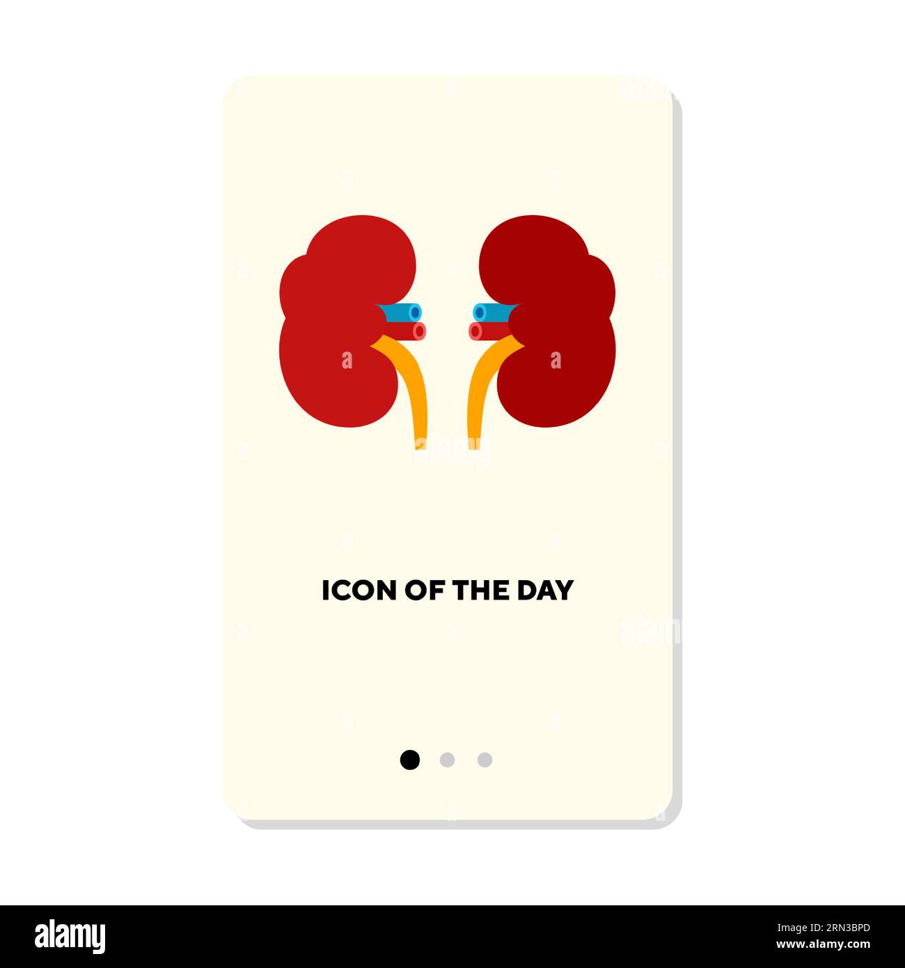 Internal organs flat icon Stock Vector Image & Art - Alamy