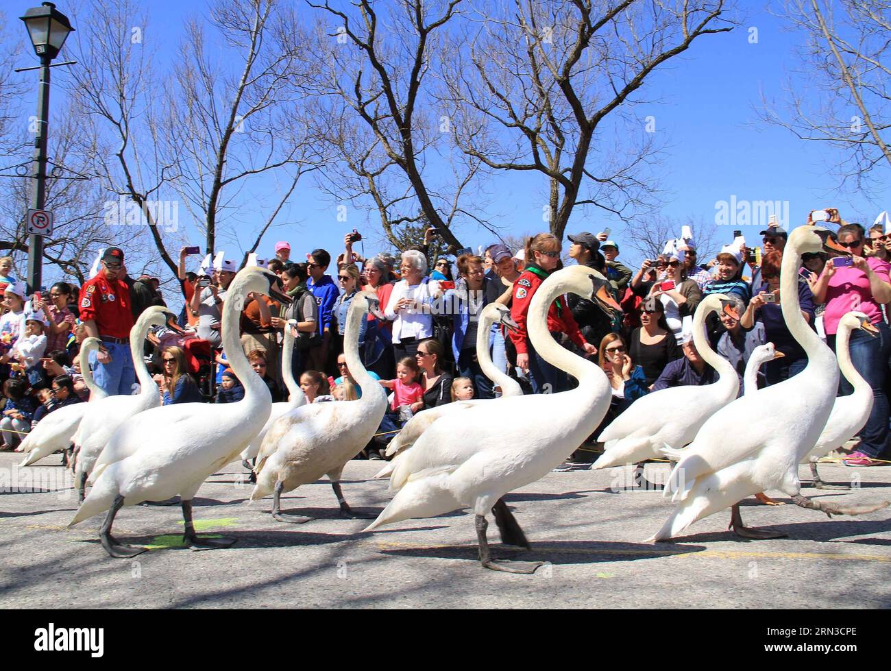 Traditonal canada hi-res stock photography and images - Alamy