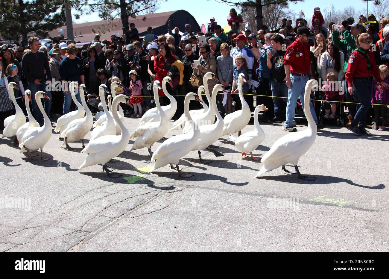 Traditonal canada hi-res stock photography and images - Alamy