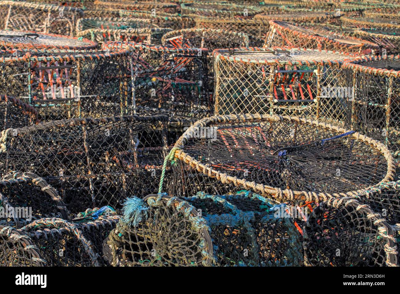 Cuttlefish creels hi-res stock photography and images - Alamy