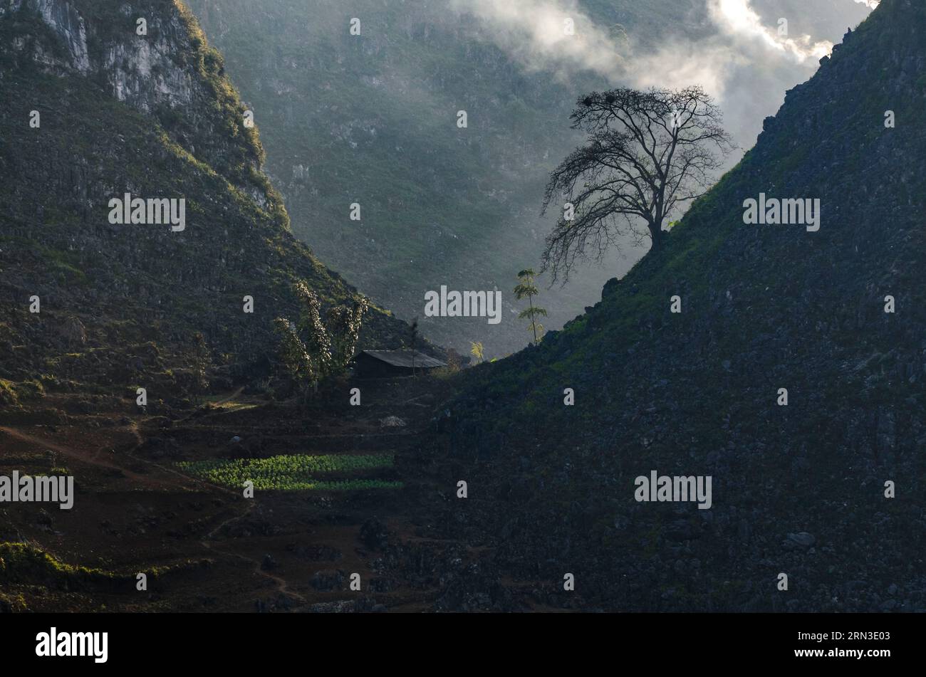 Vietnam, Ha Giang, 4C road between Dong Van and Meo Vac, landscapes ...