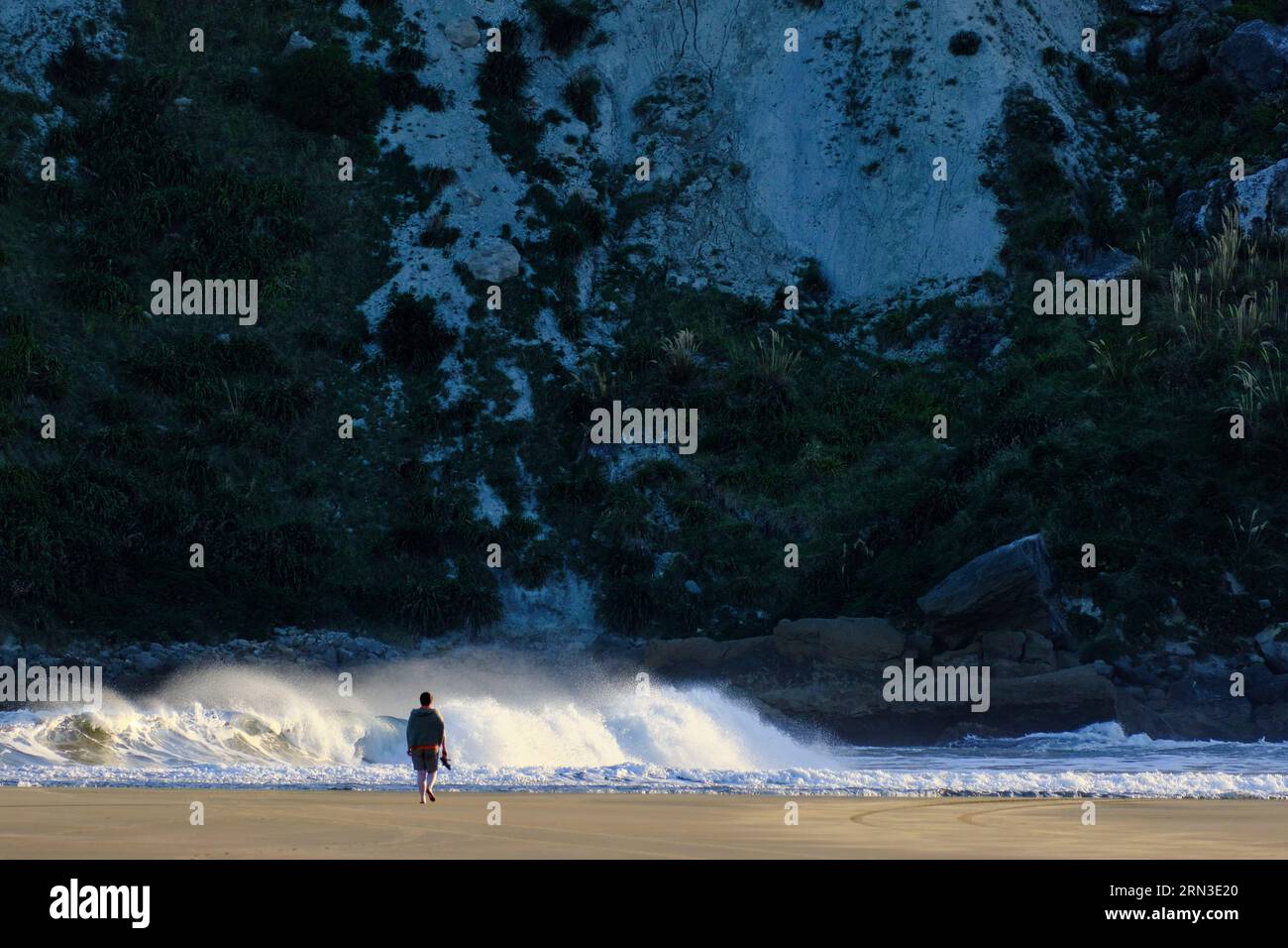 New Zealand, North Island, Wellington area, Wairarapa coast ...