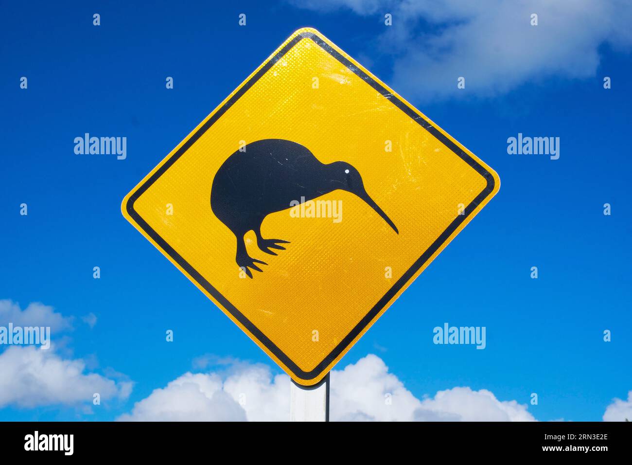 Kiwi warning sign new zealand hi-res stock photography and images - Alamy