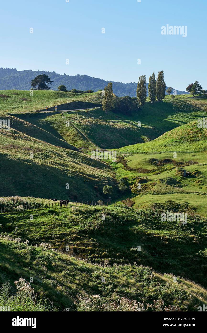 New Zealand, North Island, Matamata, Hobbitebourg, landscape of the ...