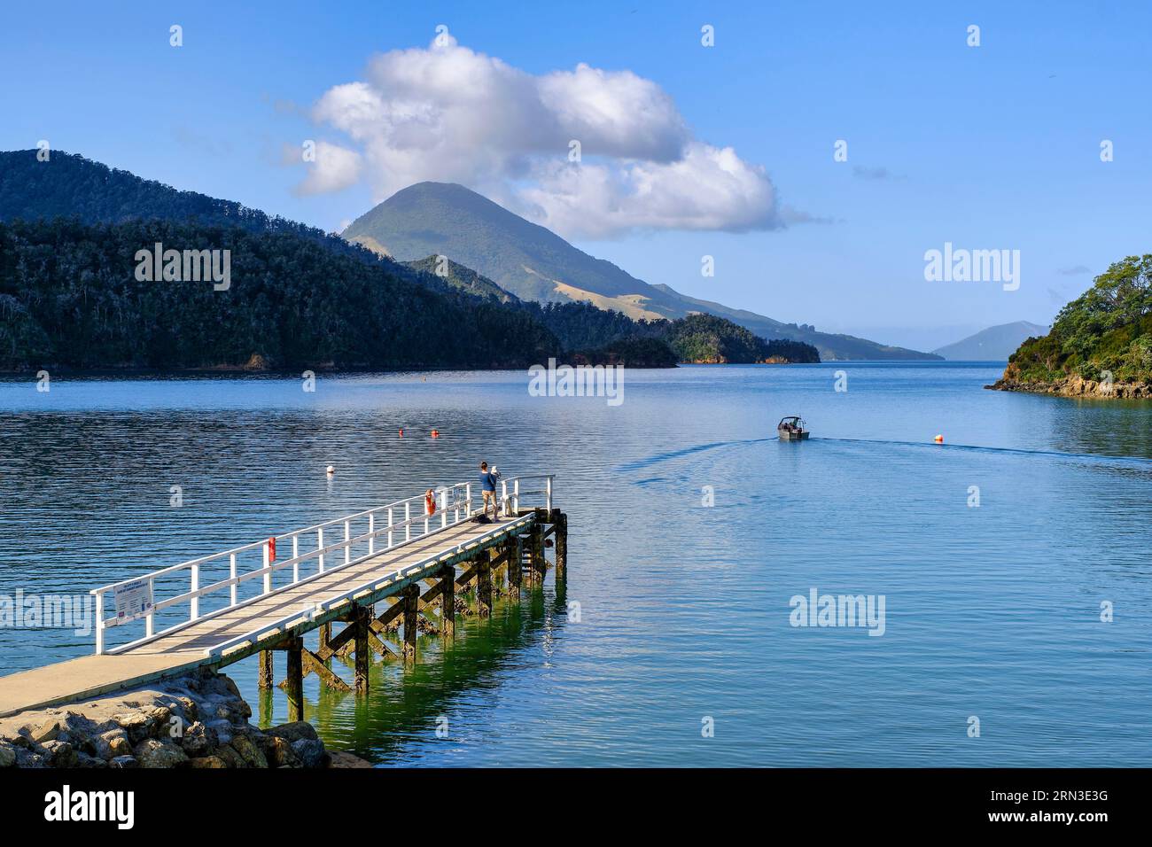 New Zealand, South Island, Marlborough Sounds, Pelorus Sounds, French ...