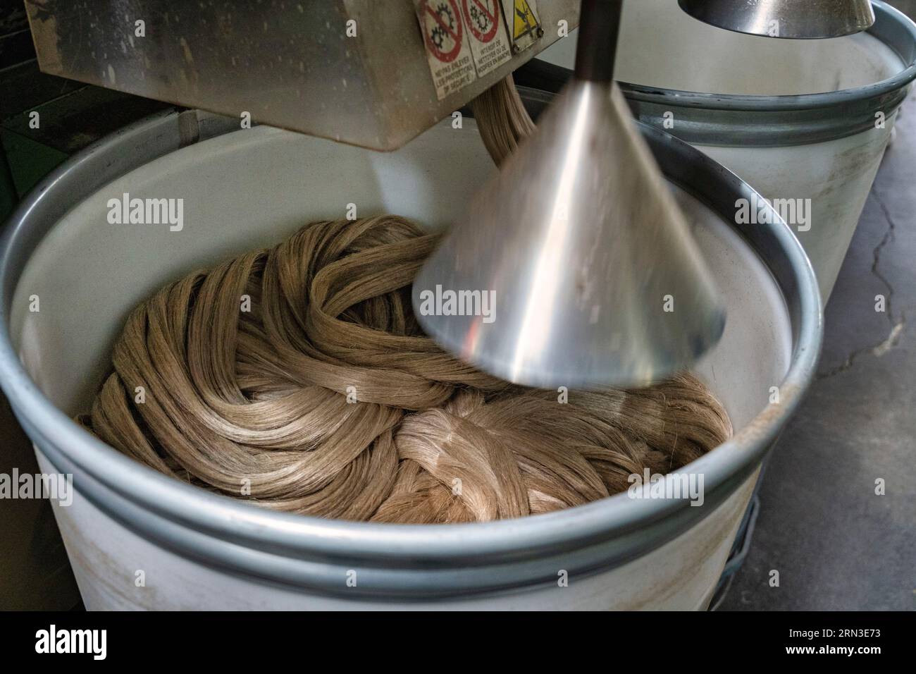 France, Seine Maritime, Saint Pierre le Viger, Flax and artistic fiber ...