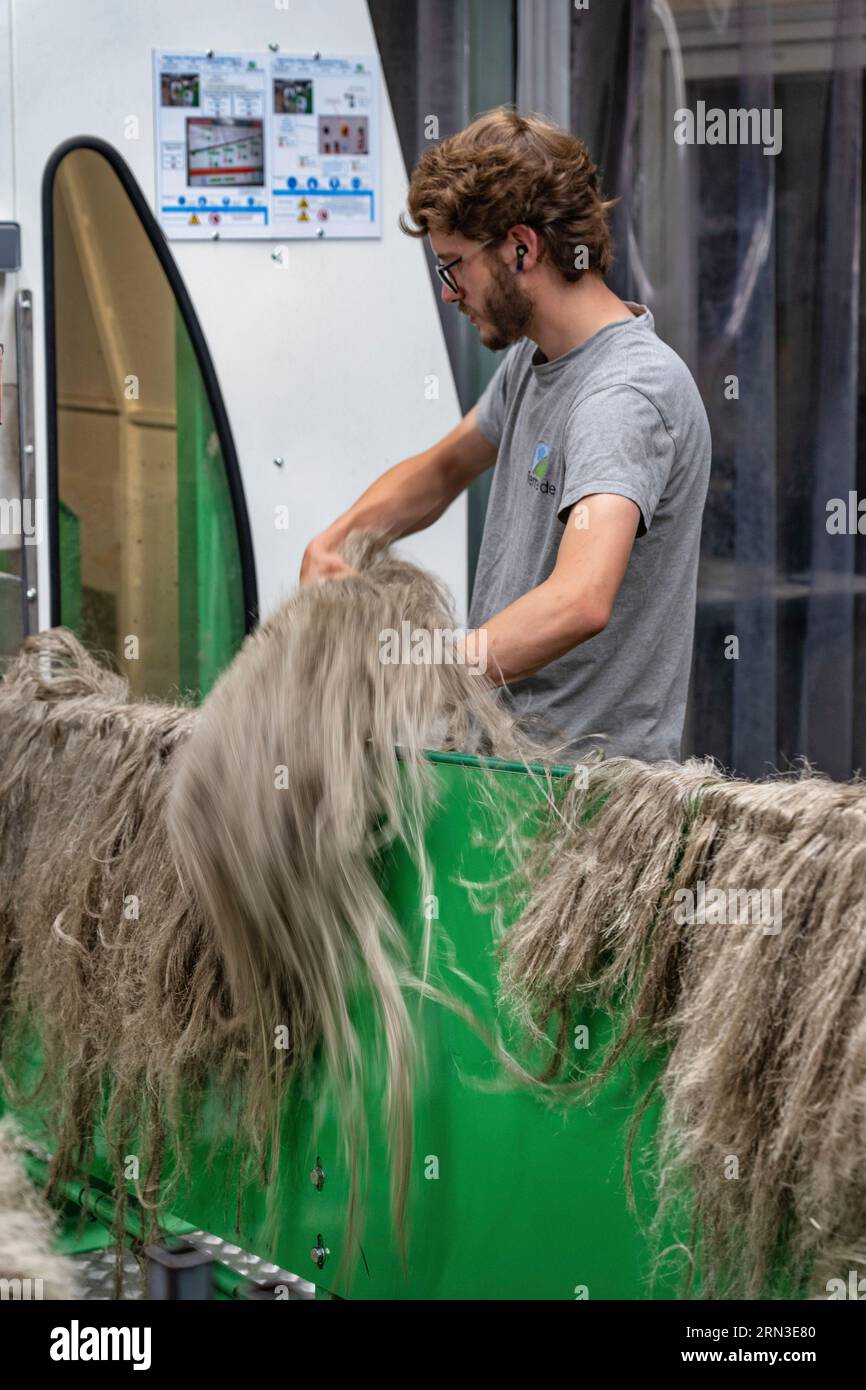 France, Seine Maritime, Saint Pierre le Viger, Flax and artistic fiber ...
